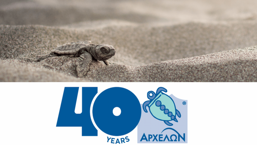 ARCHELON - Τhe Sea Turtle Protection Society of Greece