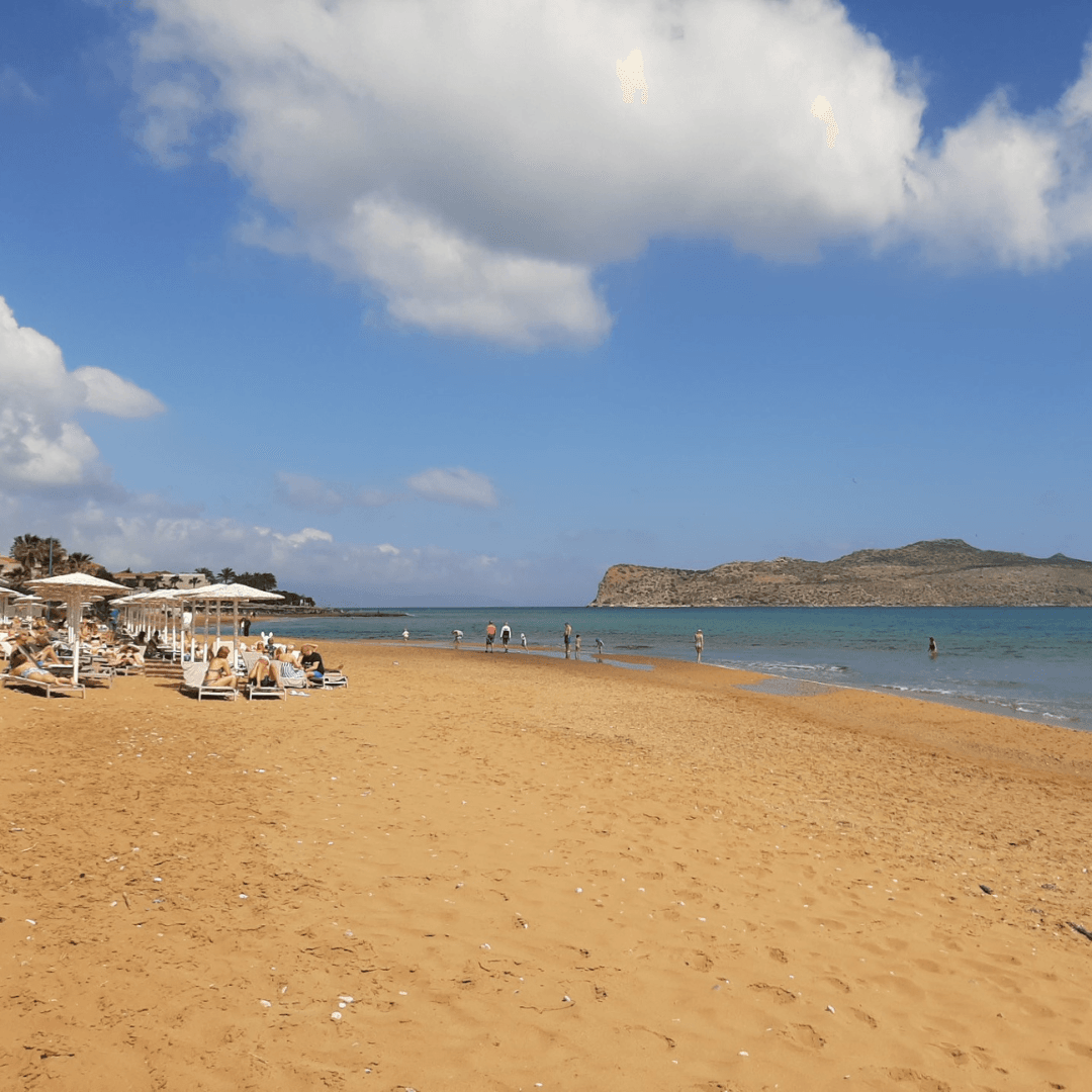 World’s first for ARCHELON’s latest findings - ARCHELON - Τhe Sea ...
