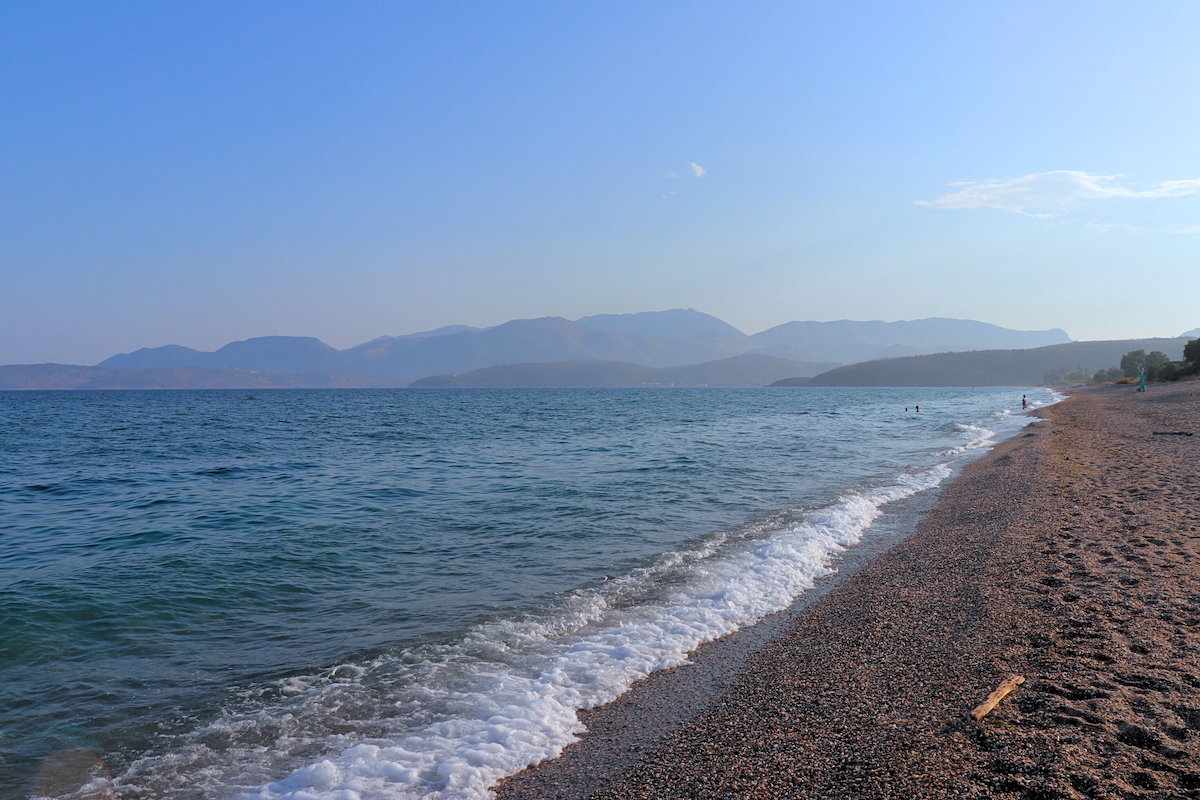 Take a beach walk with Archelon - ARCHELON - Τhe Sea Turtle Protection ...