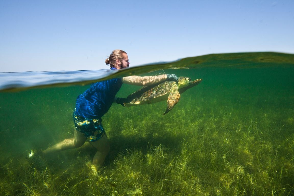 Amvrakikos Gulf - ARCHELON - Τhe Sea Turtle Protection Society of Greece