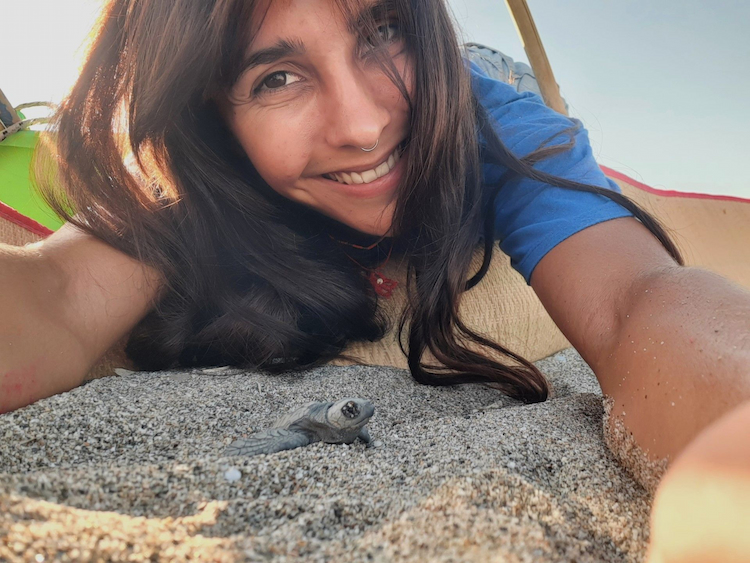 ABOUT US - ARCHELON - Τhe Sea Turtle Protection Society of Greece