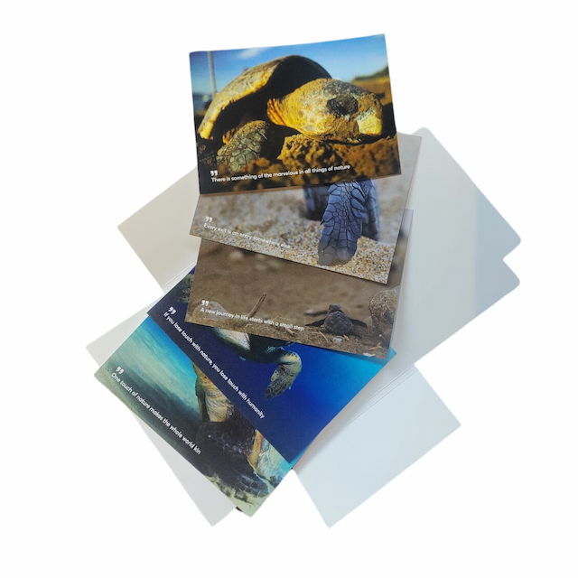 Card Postal Set ENG - ΑΡΧΕΛΩΝ - Σύλλογος για την Προστασία της ...